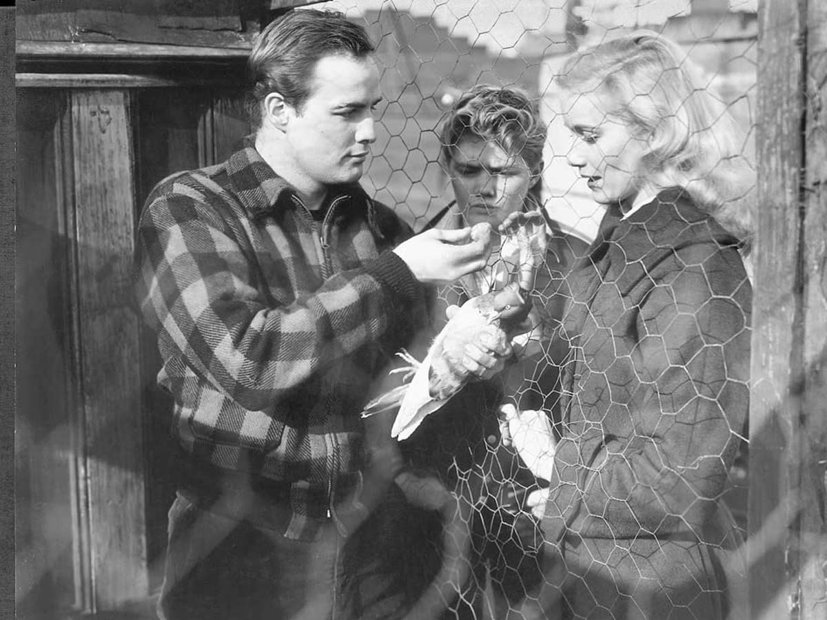 The Most Critically Acclaimed Movies of All Time