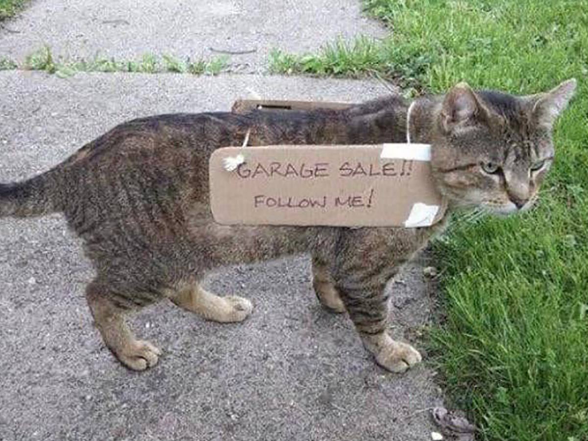 30 Hilariously Creative Yard Sale Signs Everyone Should See