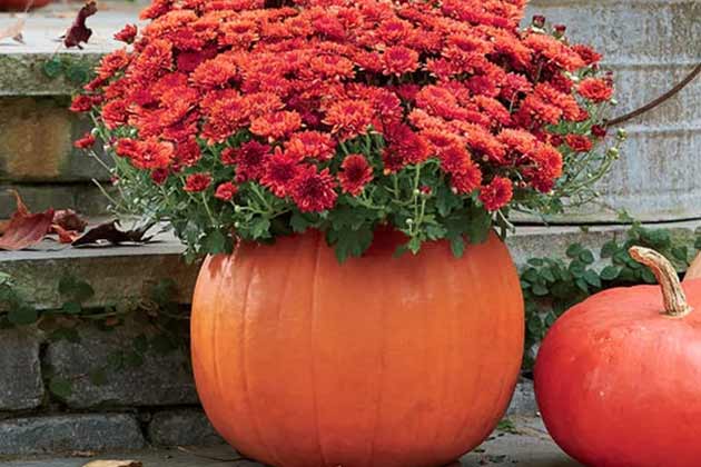 40 Cheesy Fall Home Decor Trends